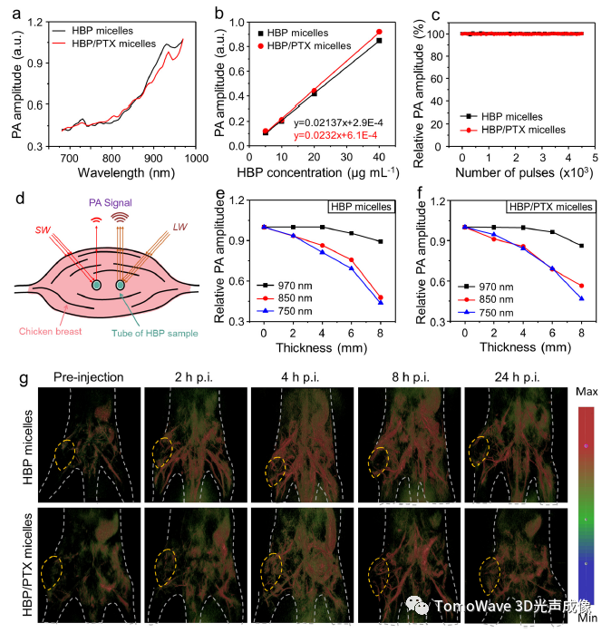应用分享 | JCR:HBP / PTX胶束NIR-II光声/荧光 双模式成像引导肿瘤协同治疗 - 知乎