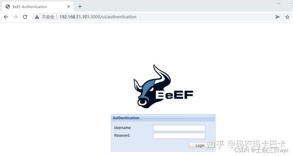 Beefxss使用教程图文教程（超详细） - 知乎
