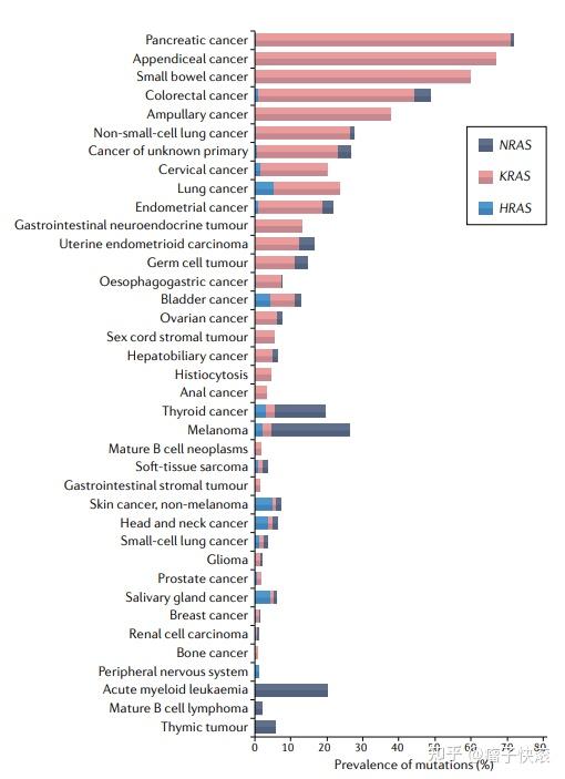 这几款KRAS G12D抑制剂值得关注：UA022、HRS-4642、RMC-9805 - 知乎