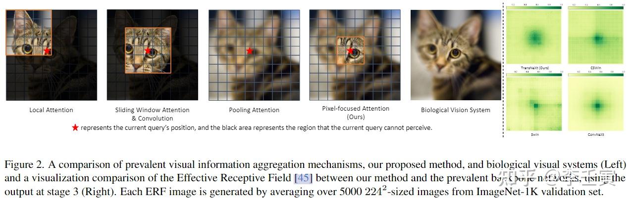 【CVPR2024】TransNeXt: Robust Foveal Visual Perception for Vision Transformers - 知乎
