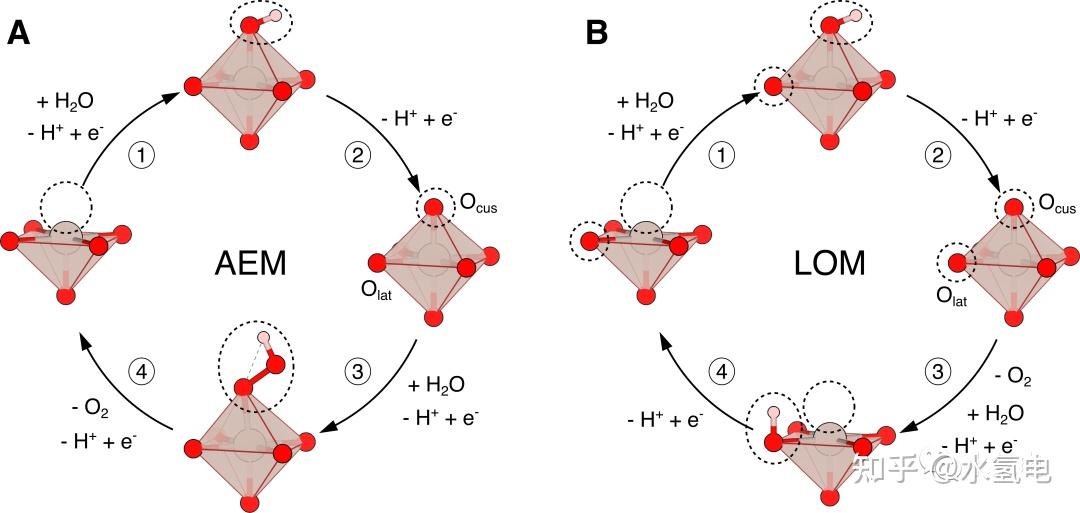 CEC：OER催化剂RuO2和IrO2应变活性与稳定性关系 - 知乎