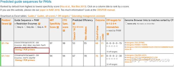 sgRNA实现细胞KO从引物设计到阳性细胞筛选-保证实用 - 知乎