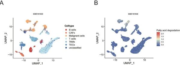 Q1区10分+单细胞联合bulk RNA！聚焦热点方向“代谢”，打造生信分析文章新高度！ - 知乎
