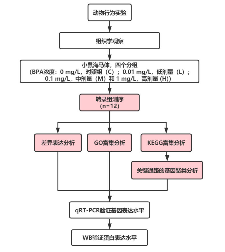 转录调控专题 | 概念篇：转录组学介绍及应用 - 知乎