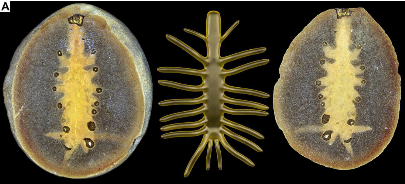 【地球演义】续·漫步者 - 知乎