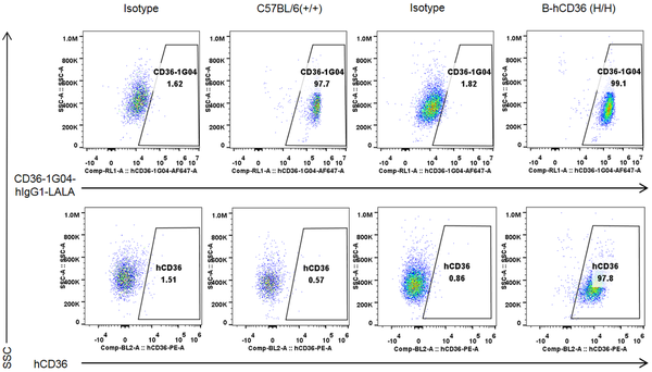 癌症治疗新靶点：清道夫受体CD36调控肿瘤免疫 - 知乎