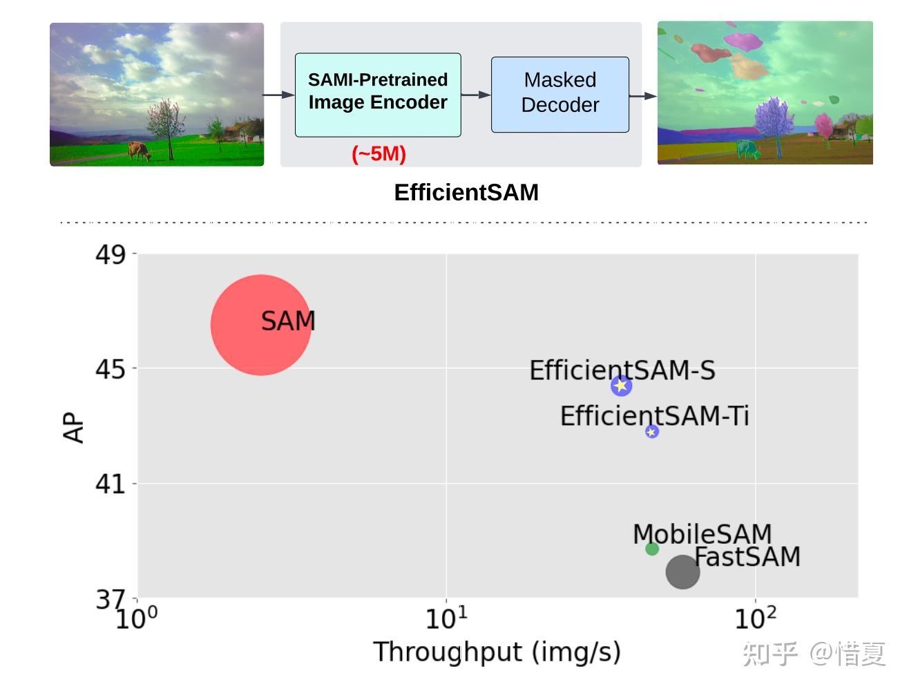 图像分割-EfficientSAM - 知乎