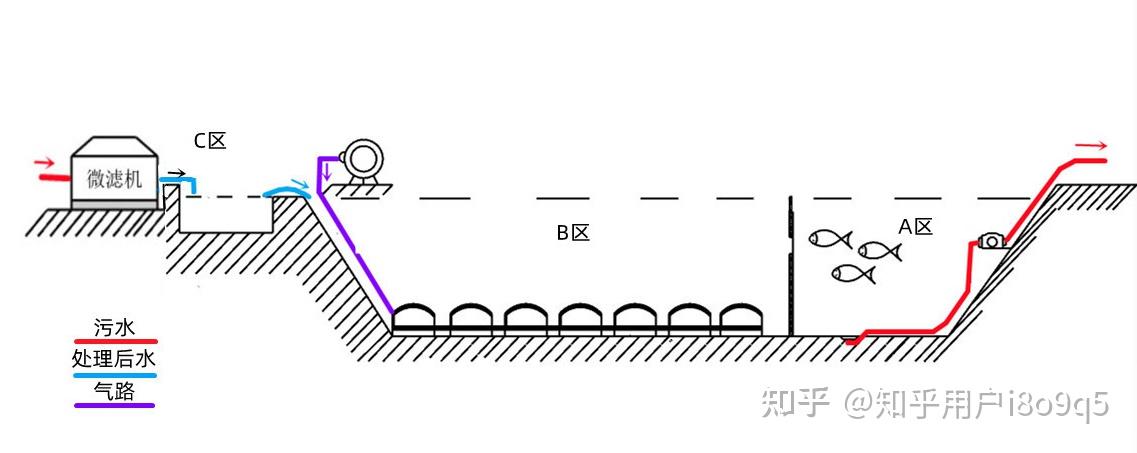 mabr耦合池塘的圈养模式 - 知乎