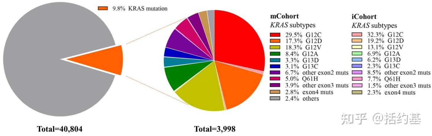 常见的致癌基因“KRAS” - 知乎