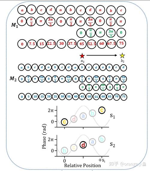 Using Grid Cells for Navigation - 知乎