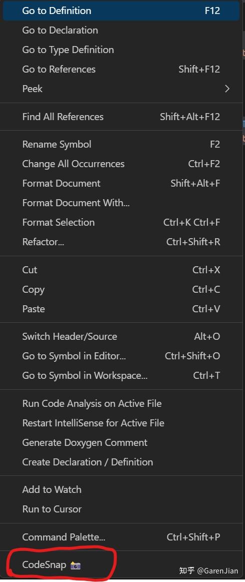 vscode代码截图插件：codesnap - 知乎