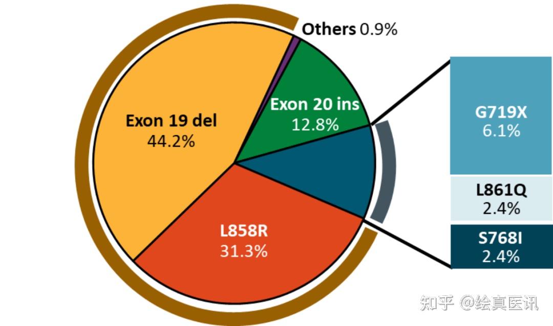 DCR达95.9%！肺癌EGFR ex20ins新药Zipalertinib研究详解 - 知乎