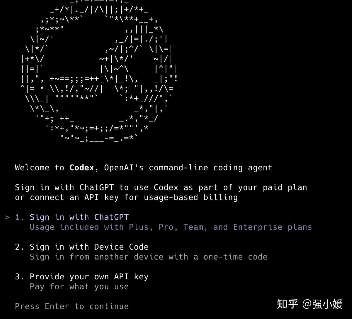 （2026年最新）Codex CLI 国内使用全攻略：终端+Cursor+VSCode+Opencode四种姿势全搞定 - 知乎