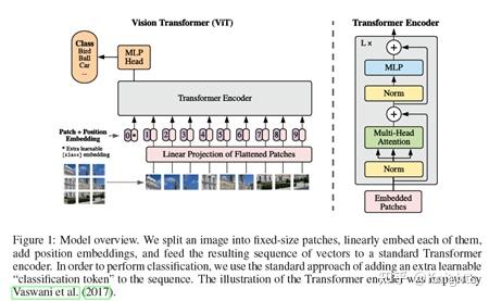 VIT transformer 详解 - 知乎