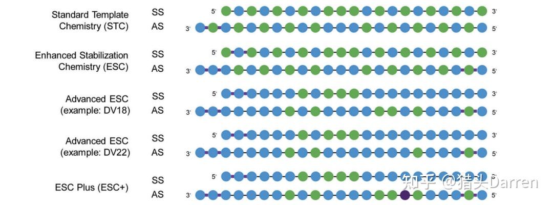 siRNA药物优化及发展现状 - 知乎