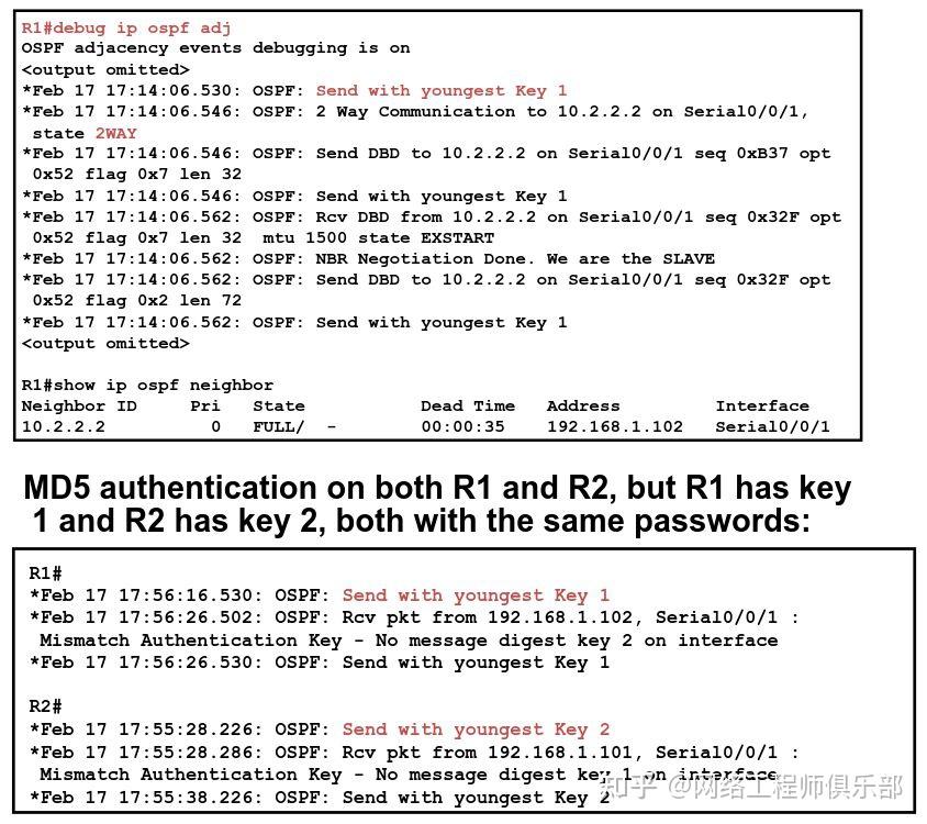 图解OSPF，看这70张图已经足够（二） - 知乎