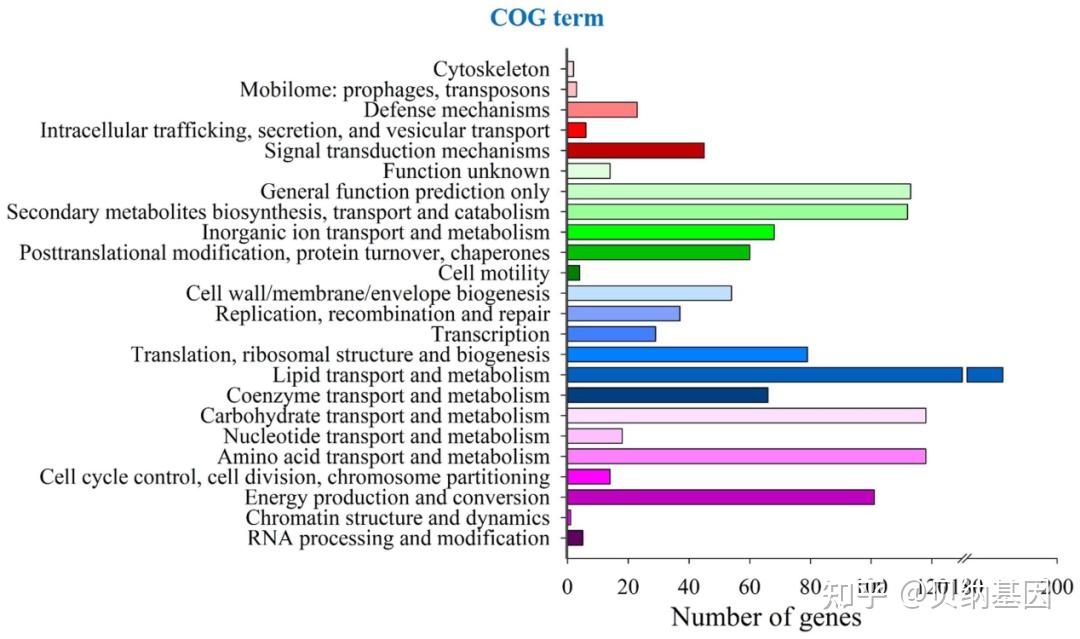 合作文章|真菌基因组和比较基因组学分析揭示青霉菌-Euops象鼻虫共生的分子机制 - 知乎
