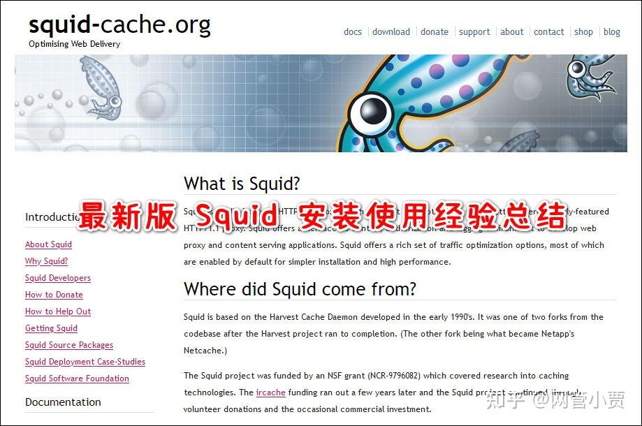 最新稳定版 Squid5 安装使用经验总结 - 知乎