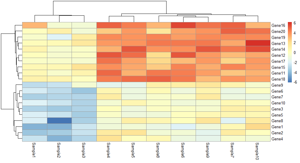 R语言学习笔记（四）—pheatmap - 知乎