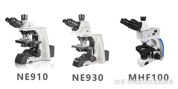 正置荧光显微镜的用途|正置荧光显微镜的应用领域 - 知乎