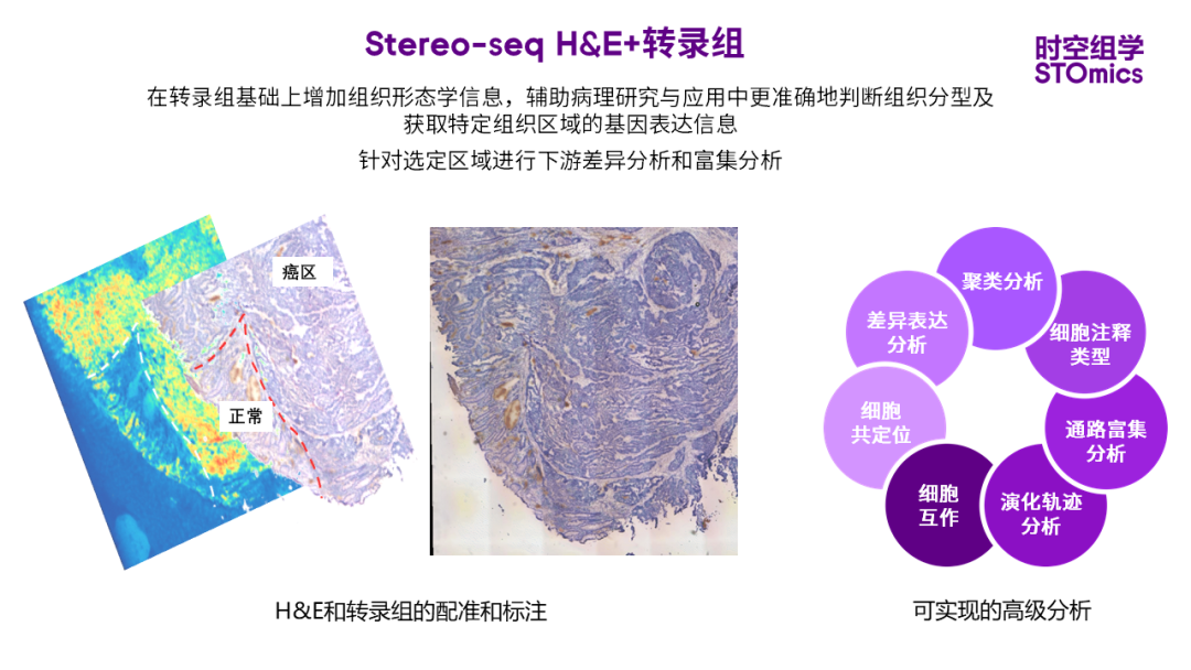 重磅 | 人人可及，时空组学技术Stereo-seq再次升级 - 知乎