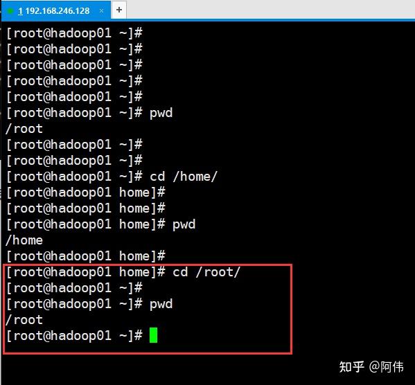 Linux cd命令：切换目录 - 知乎