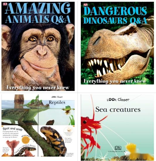 DK 嗦碳漾享蚌万担频 Look closer羡去 - 知乎