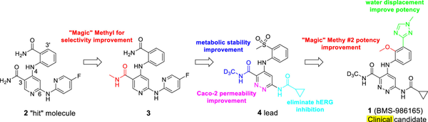 TYK2 JH2变构抑制剂: 专利分子与结合模式 - 知乎