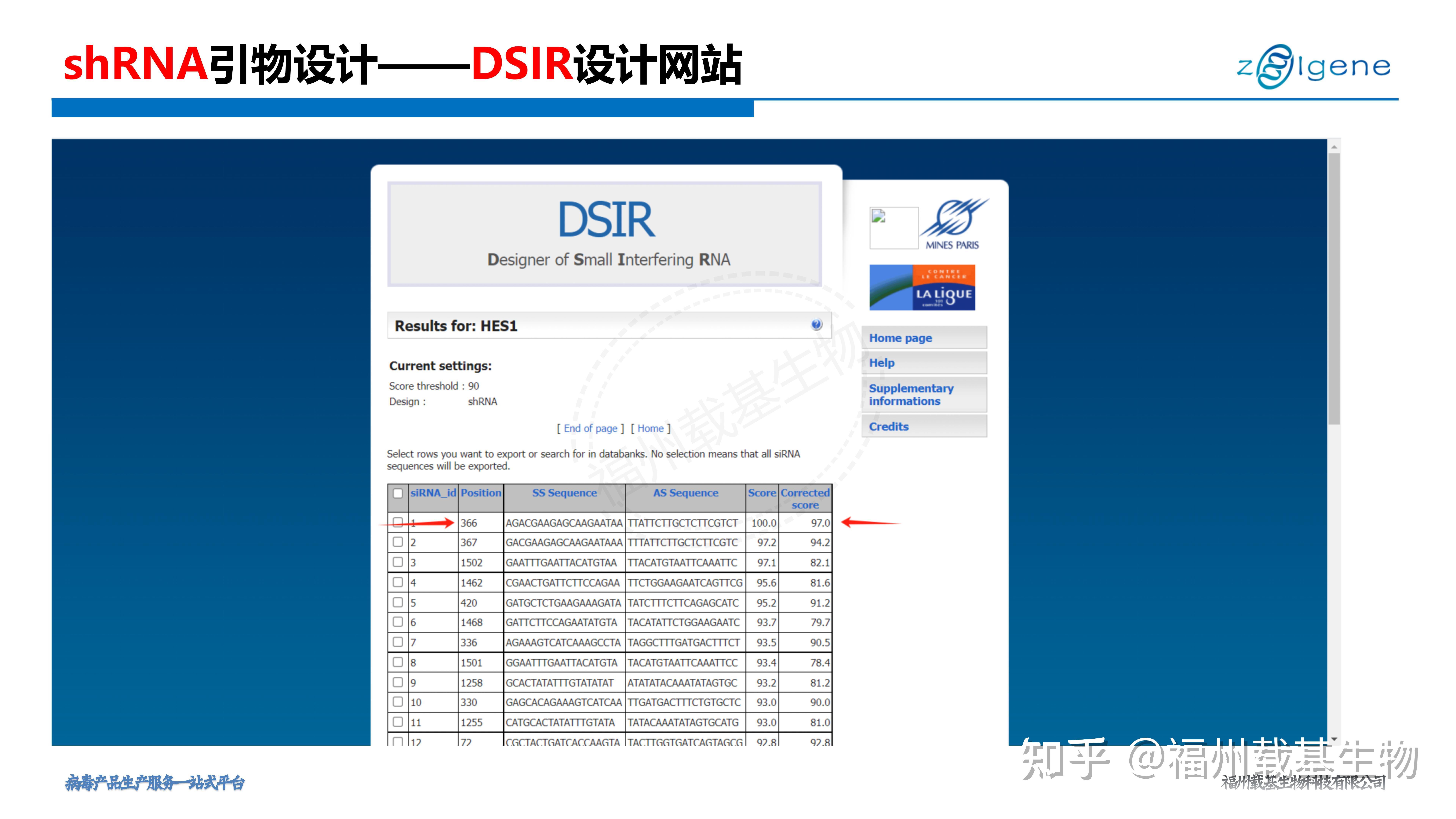 siRNA与shRNA引物设计 - 知乎