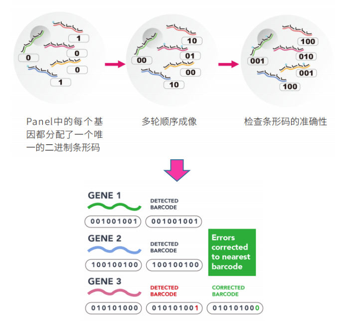 MERFISH技术有望改变未来药物发现的格局