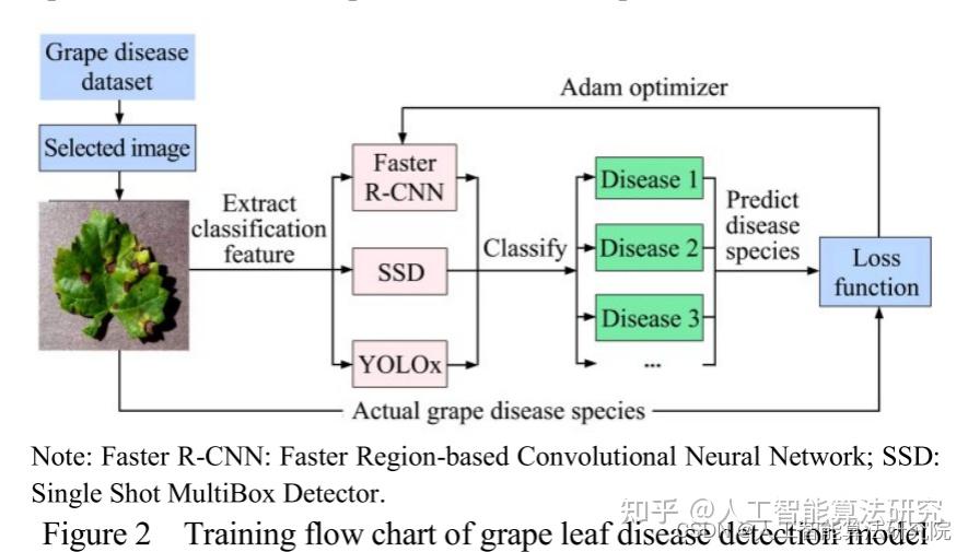 英文论文（sci）解读复现-基于注意机制的葡萄叶片病害检测 - 知乎