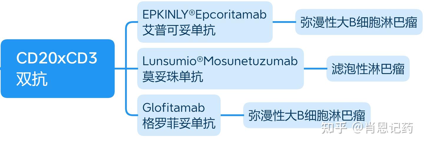 记住所有FDA生物药 | 两款CD20 x CD3双抗 | Mosunetuzumab、Glofitamab | B细胞淋巴瘤 - 知乎