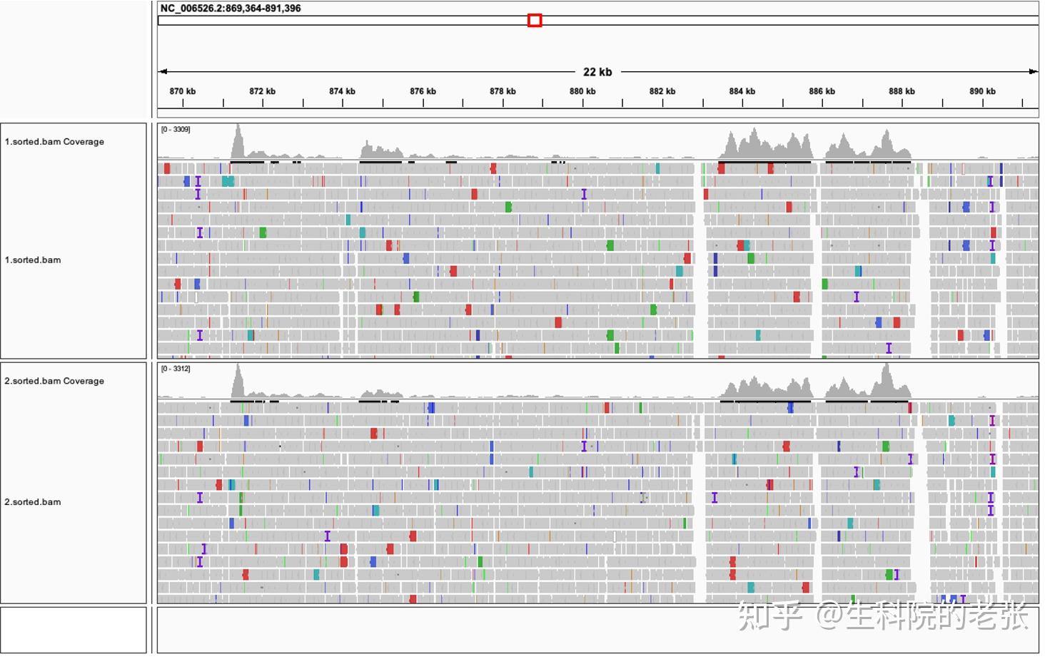 WGS(全基因组测序)/WES(全外显子组测序)/WGRS(全基因组重测序)分析与可视化教程 - 知乎