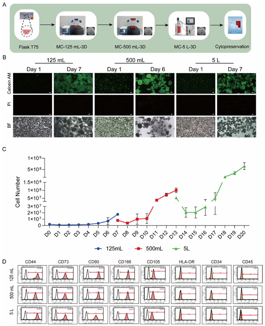 从源头革新到迈向临床：iPSC-iMSC的3D细胞规模化破局之路 - 知乎