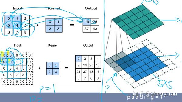 一文了解神经网络MLP(ANN), CNN, RNN - 知乎