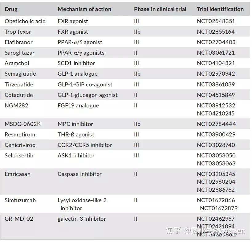 GAN饮食诱导的NASH小鼠的临床转化性 - 知乎