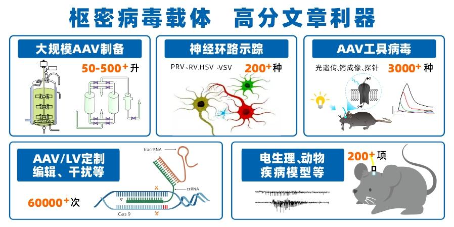 Axon-GCaMP6轴突钙成像 ——让轴突无所遁形 - 知乎
