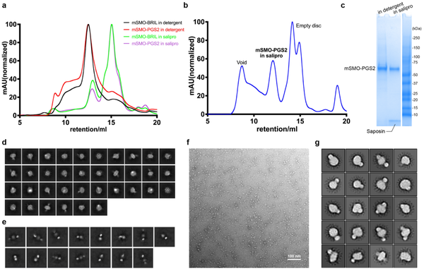 水木视界iss. 25 | 基于冷冻电镜的GPCR研究：融合蛋白策略 - 知乎