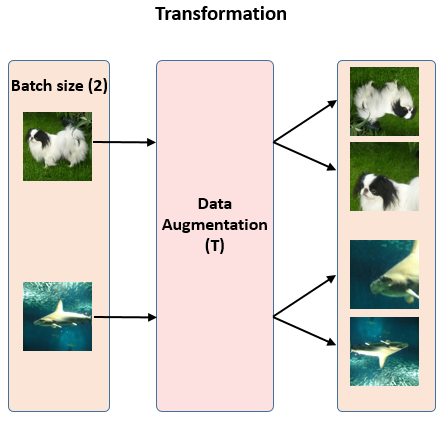 Self-Supervised Learning 超详细解读 (二)：SimCLR系列 - 知乎