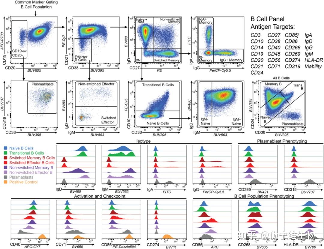 光谱流式与常规流式对人外周血PBMC的高维免疫分型分析 - 知乎