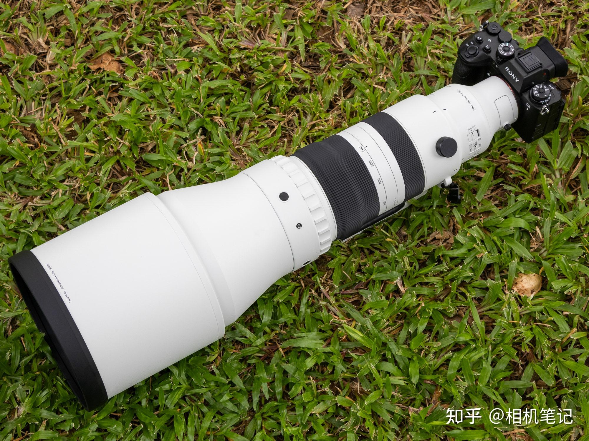 不到4万元！适马300-600mm F4生态拍摄体验 - 知乎