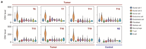 Vernacular｜InferCNV 帮你从单细胞数据中挑出“害群之马”--肿瘤细胞 - 知乎
