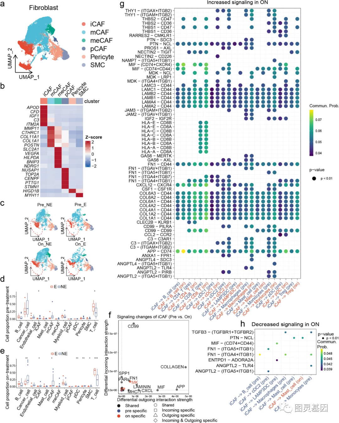 Mol Can｜山东大学冯强团队揭示癌症相关成纤维细胞和肿瘤微环境之间的串扰 - 知乎