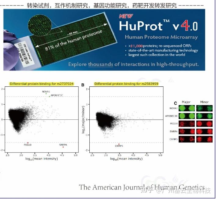 科研解忧：DNA-蛋白组芯片检测验证 - 知乎
