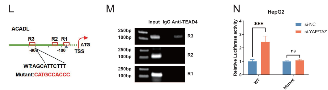 Q1区10分+单细胞联合bulk RNA！聚焦热点方向“代谢”，打造生信分析文章新高度！ - 知乎
