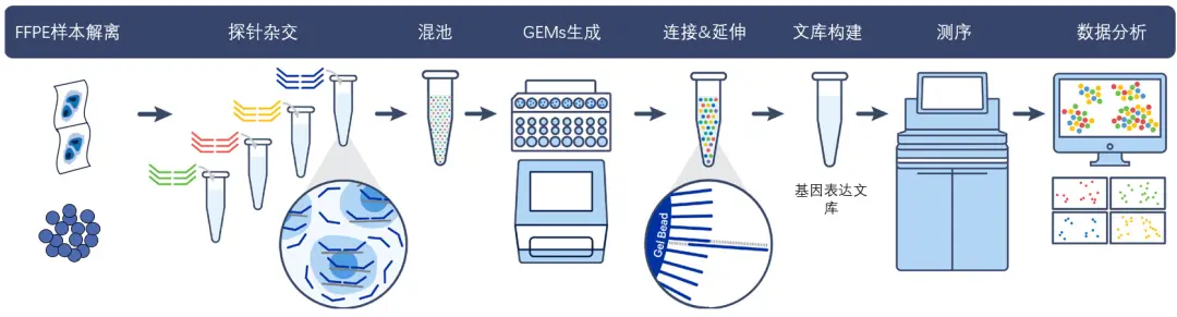 实用干货 | FFPE样本单细胞&空间技术联合解决方案 - 知乎