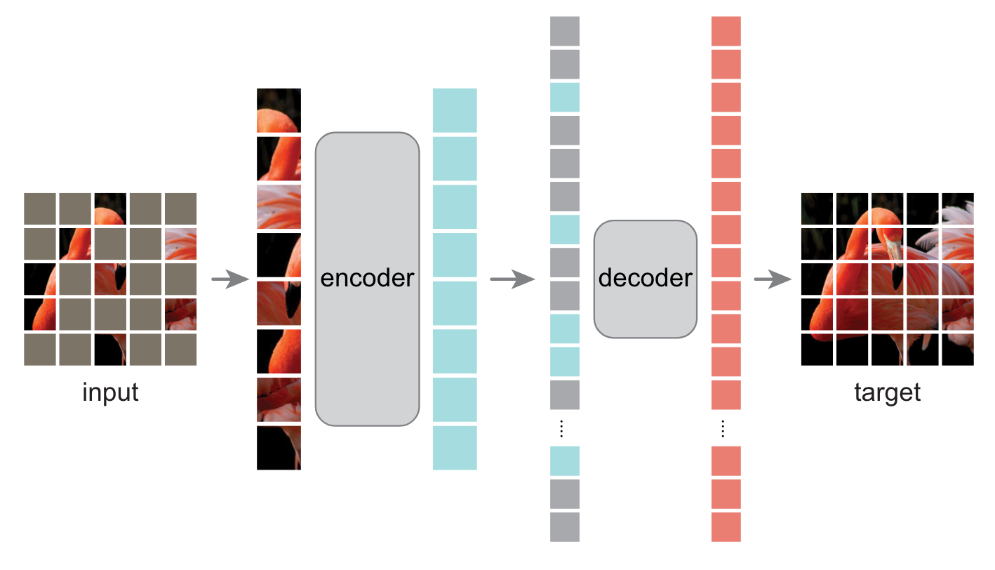 Mask Autoencoder 各类变体 - 知乎