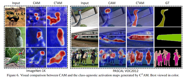 CVPR2022 CCAM | 用于目标定位和语义分割的弱监督对比学习模型 - 知乎