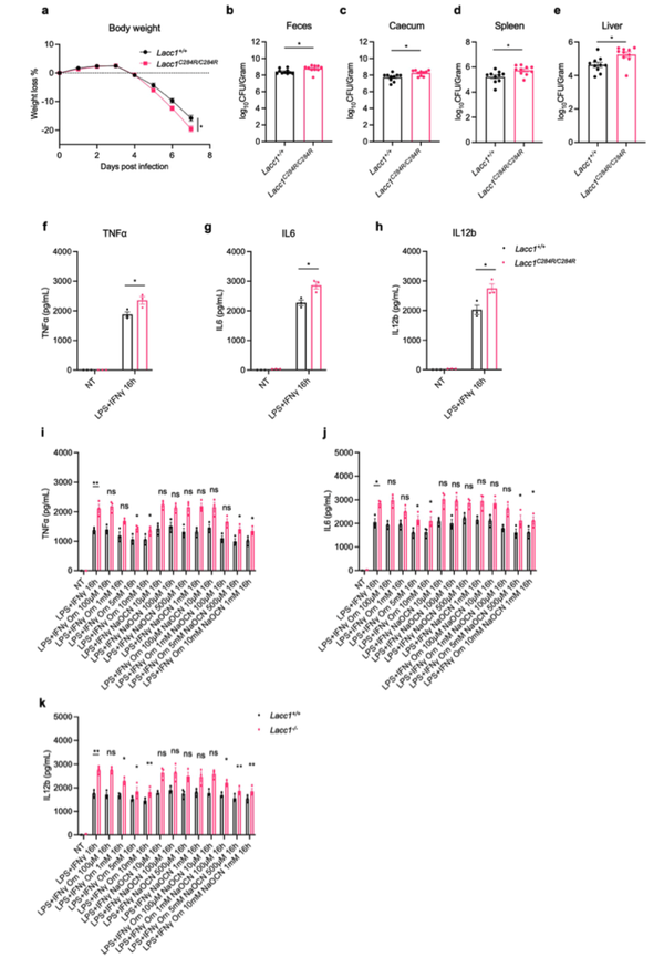 Nature丨LACC1在巨噬细胞免疫代谢的重要作用 - 知乎