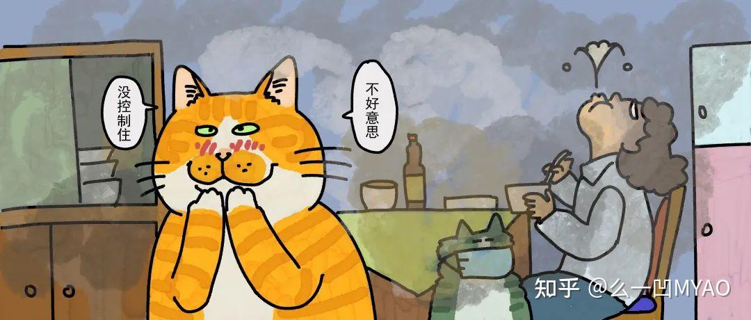 救命!我的猫不仅放屁,还特别臭! 知乎